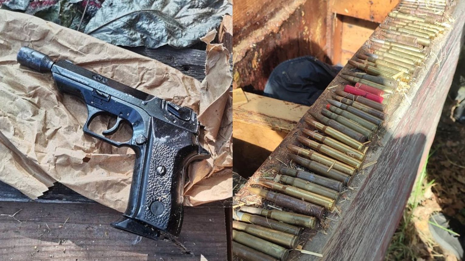 Zamiast pszczół była broń i amunicja. 80-latek ukrył arsenał w ulach