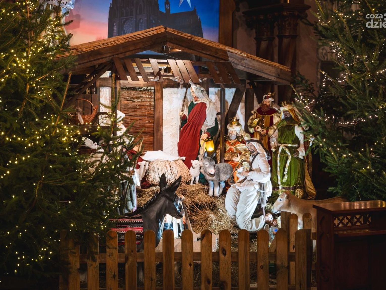 Pasterka w radomskiej katedrze (zdjęcia)